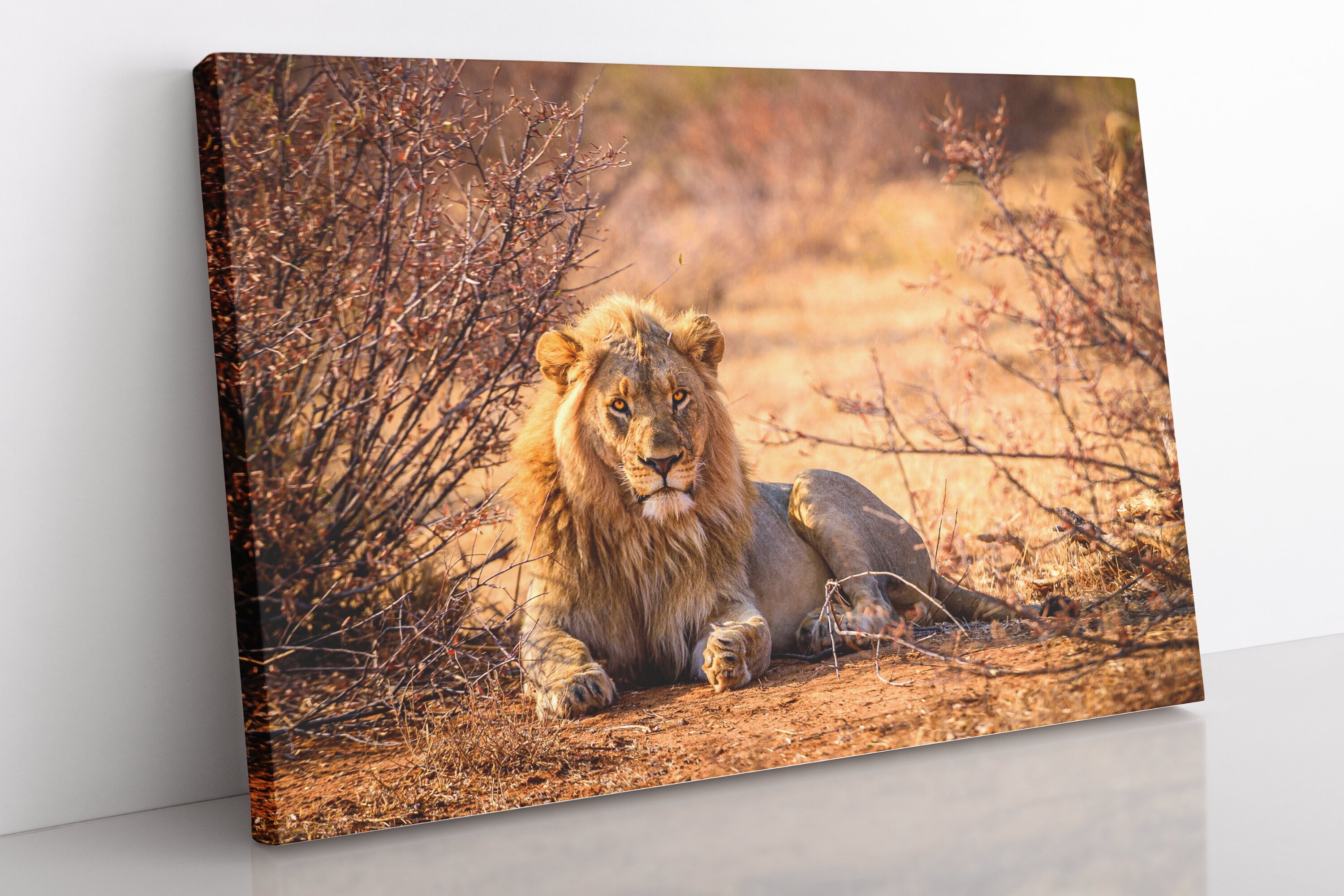Lion Canvas Wall Art Large Framed Lion Print Home Decor Wall - Etsy UK