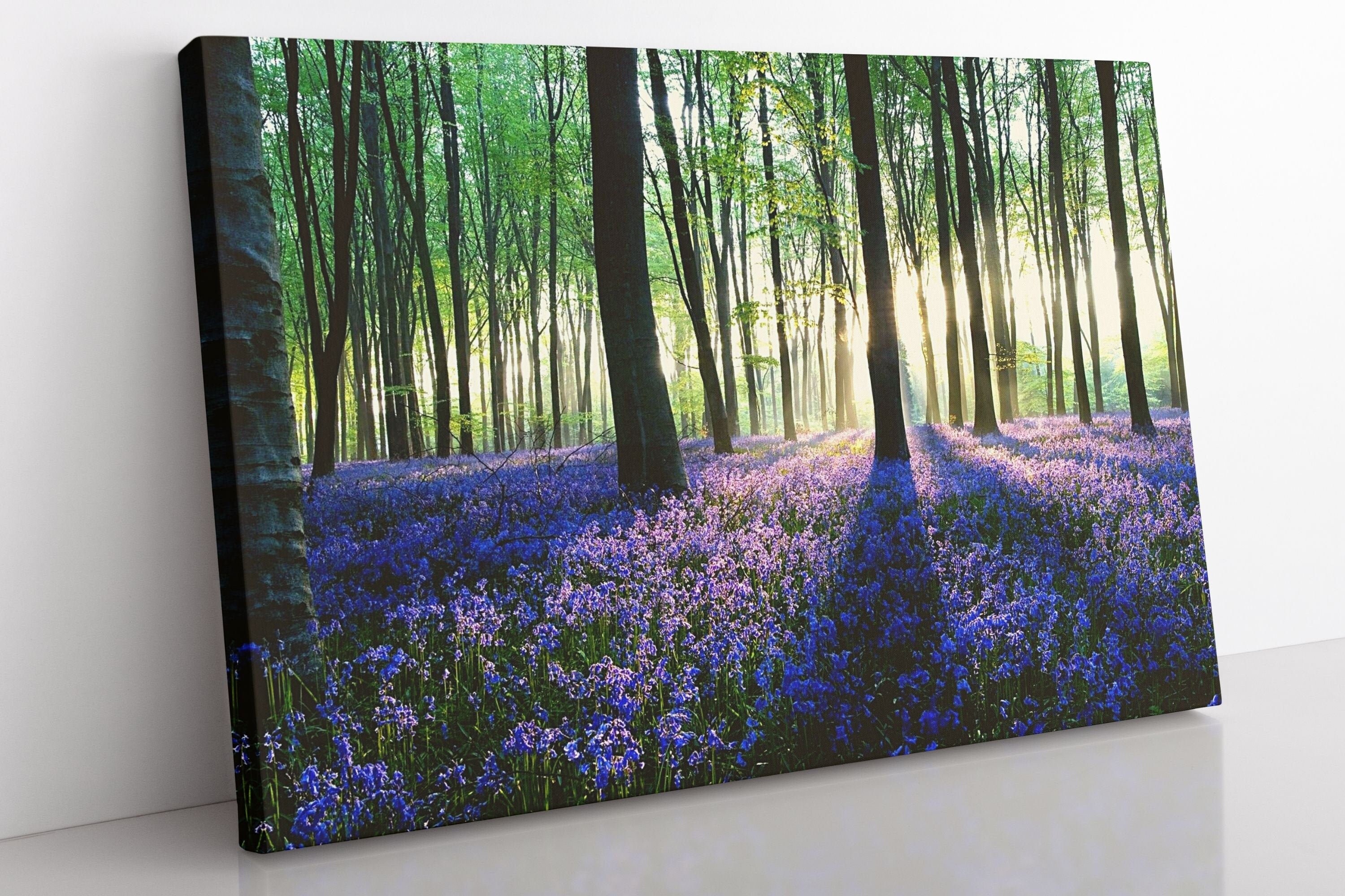 Bluebell Forest Canvas Wall Art Large Framed Flower Forest | Etsy
