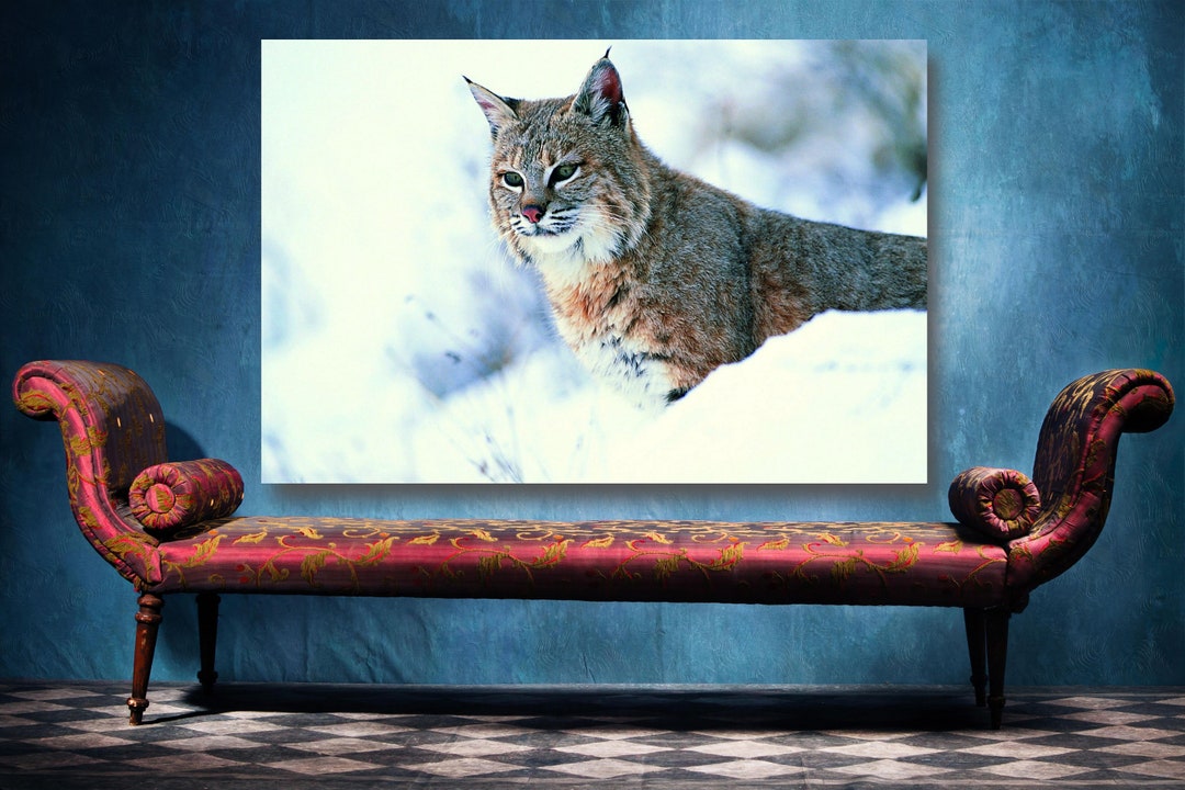 Lynx Wall Art, Large Unframed Wildcat Poster Print Home Decor Wall Art ...