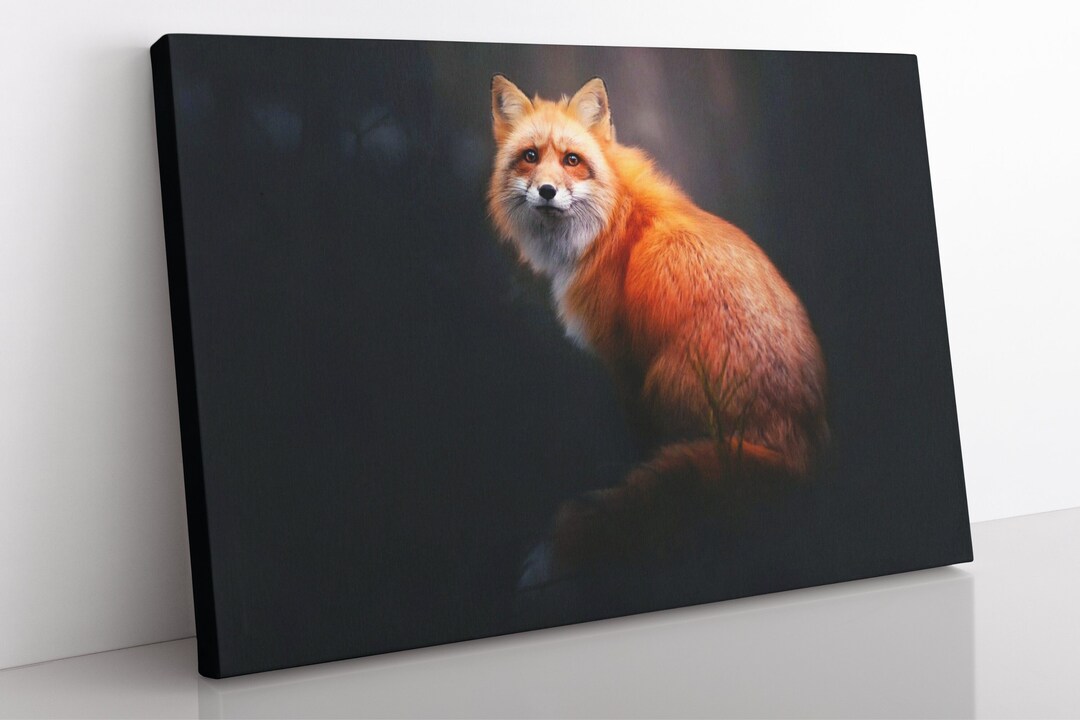 Framed Fox Canvas Print, Modern Home Decor - Etsy