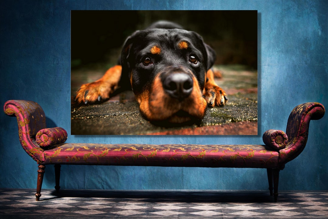 Rottweiler Dog Poster Print: Large Unframed Animal Wall Art - Etsy