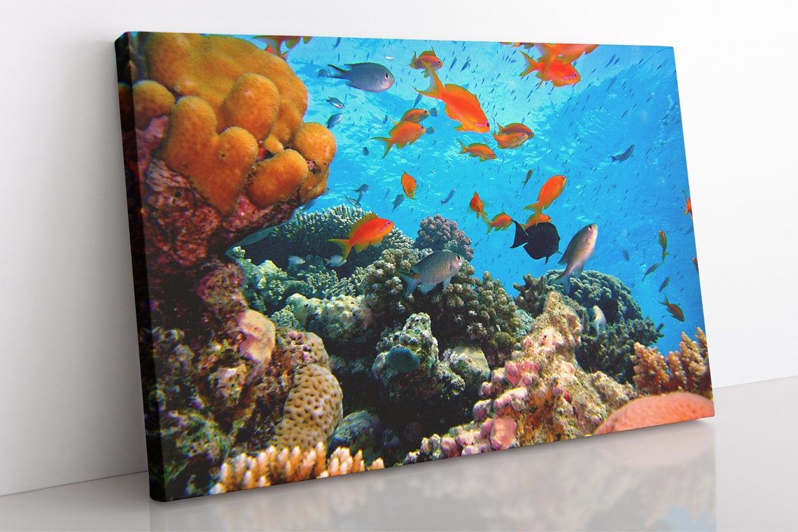 Coral Reef Canvas Wall Art Large Framed Ocean Print Home - Etsy UK