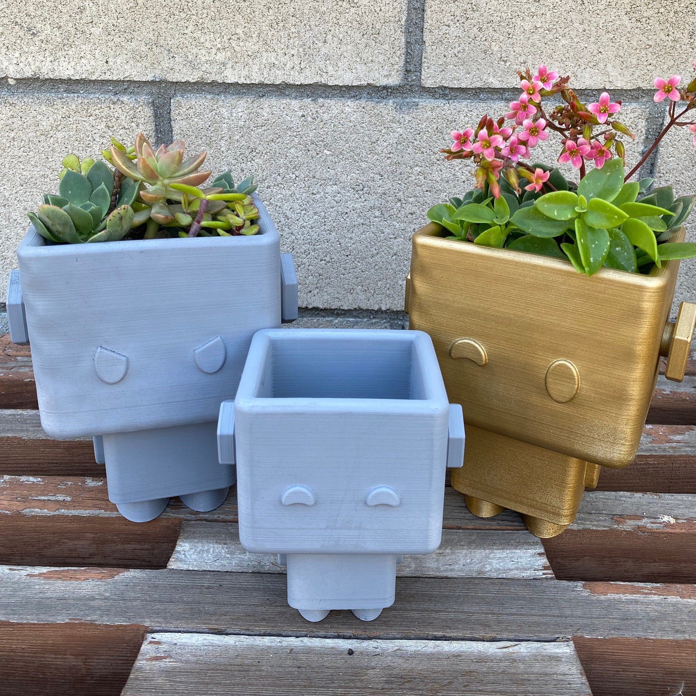 SMALL SIZE Succubot (robot Succulent Pot) | Interchangeable Head and ...