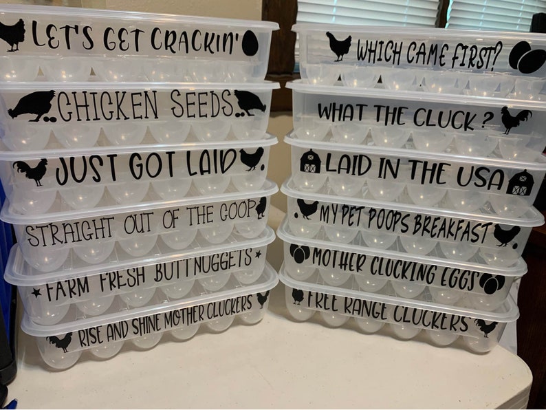 Funny Egg Container Reusable Egg Container Plastic Egg - Etsy