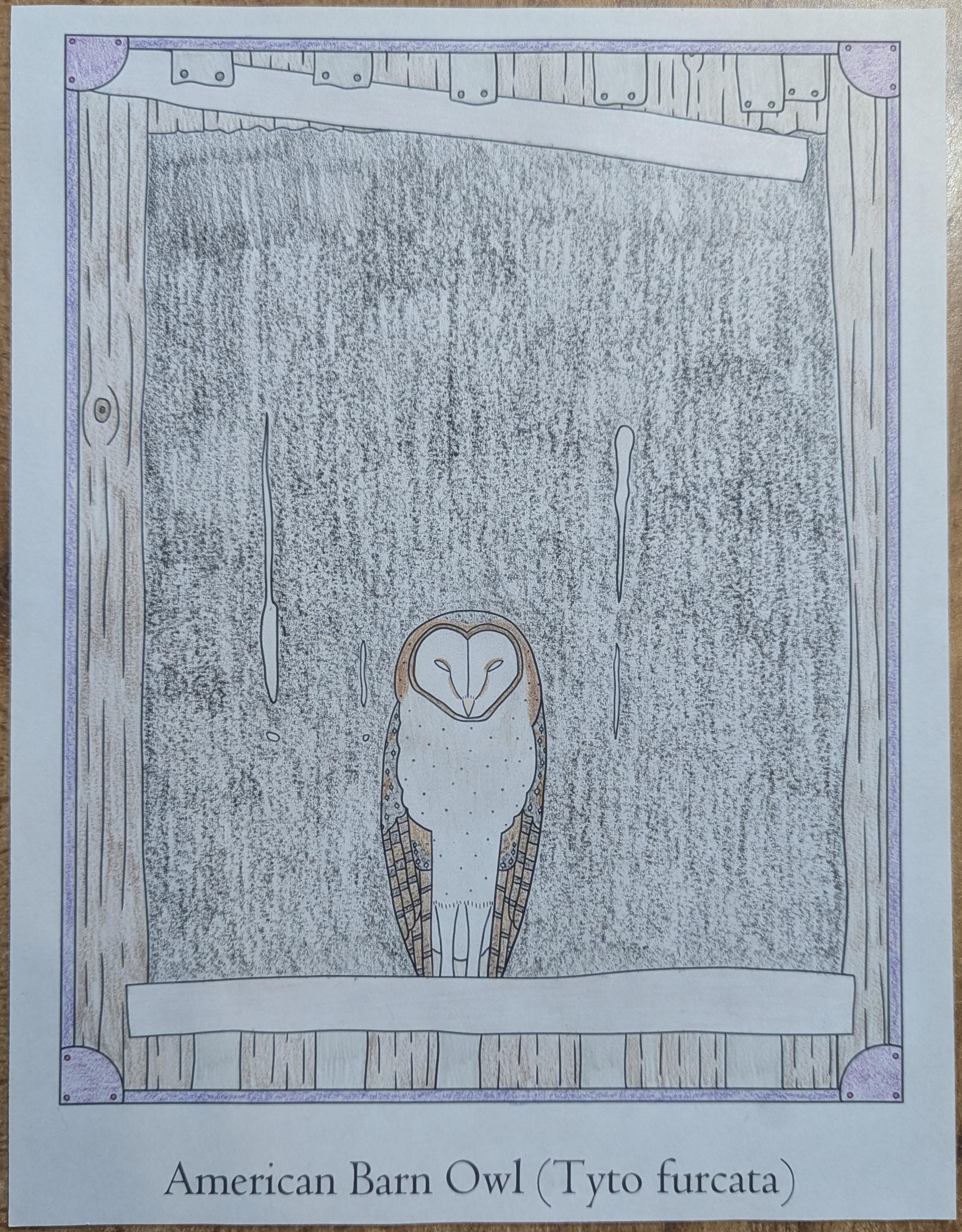 Printable Owl Coloring Pages - Etsy