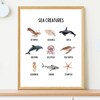 Barnyard Alphabet Nursery Print. Digital Nursery Decor. Animal Alphabet ...
