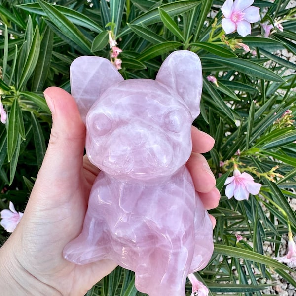 Pug French Bulldog - Etsy