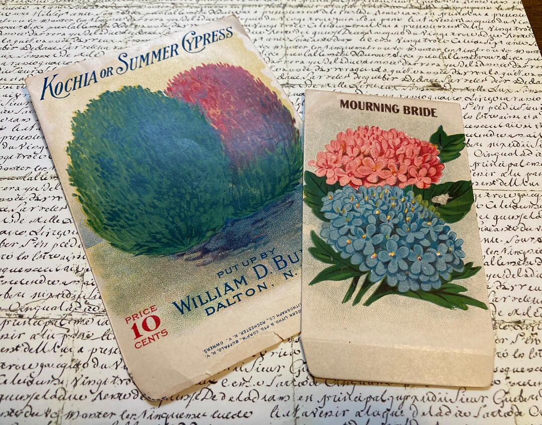 RARE Antique1915 Seed Packets William D Burt and Spring Seed Co Your ...