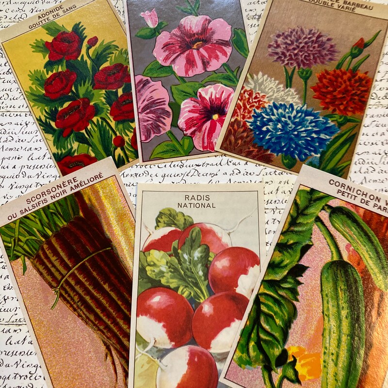 Seed Labels - Etsy
