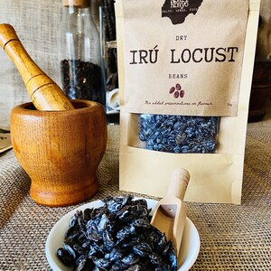 Organic | African Umami - DRIED Irú Locust Beans (fermented) - Etsy