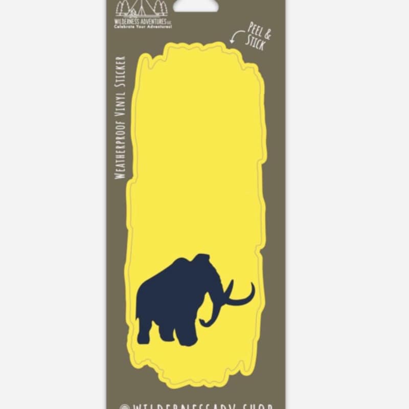 No Ice Window Sticker - Etsy