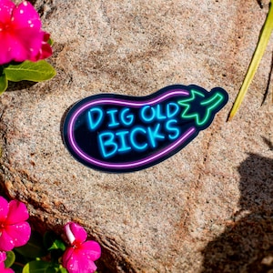 Dig Old Bicks Sticker, Neon Sign, Glossy Vinyl, Adult Cartoon, Solar TV ...