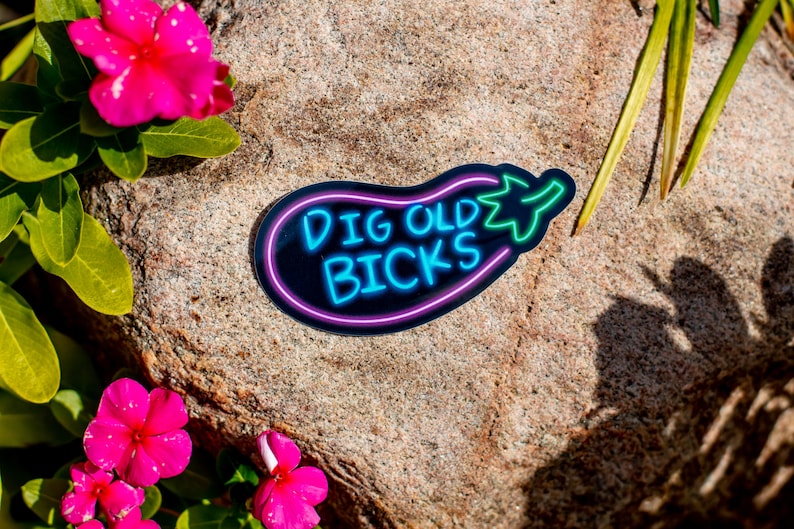 Dig Old Bicks Sticker Neon Sign Glossy Vinyl Adult Cartoon - Etsy