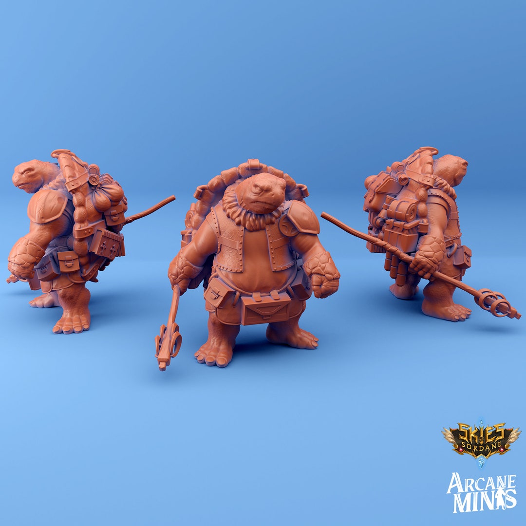 Ketsudo Deckhand, Turtle Folk Wizard- Sordane Publishing | 32mm ...