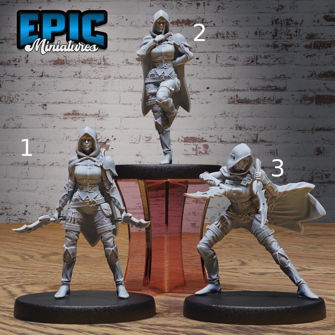 Elf Guild Rogue Epic Miniatures 28mm 32mm Demonic Guild Assassin Bandit ...