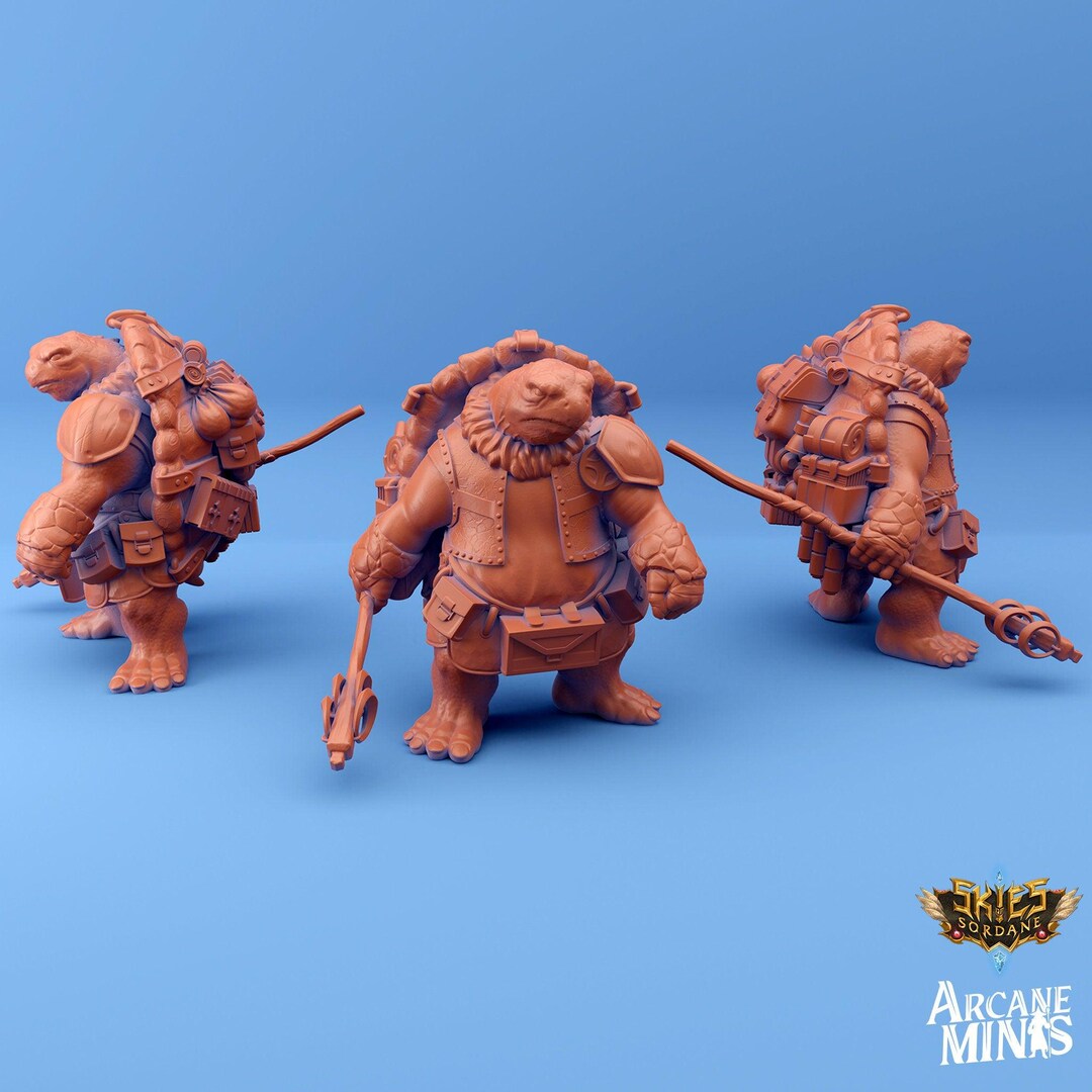 Ketsudo Deckhand, Turtle Folk Wizard- Sordane Publishing | 28mm and ...