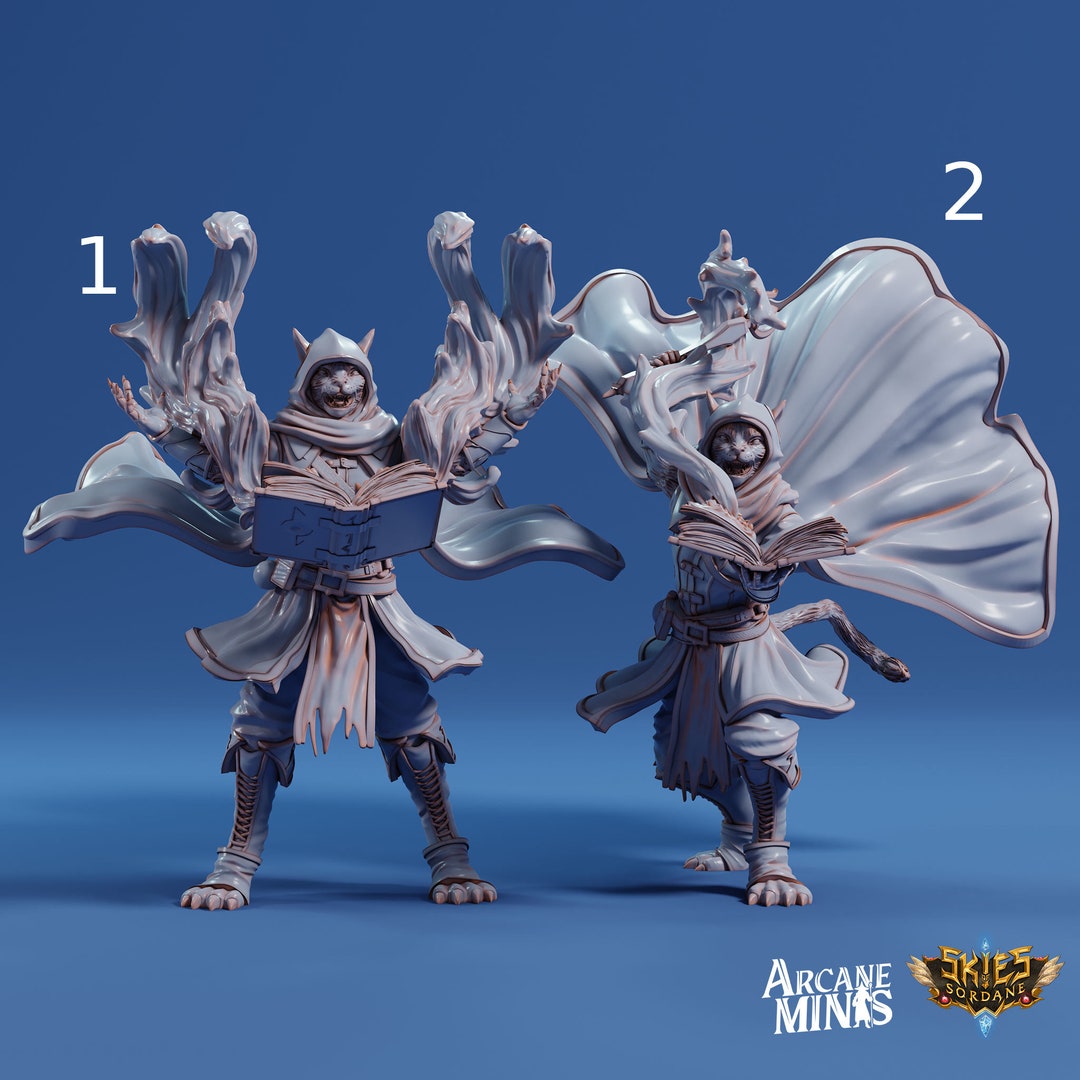 Kizaru Sorcerer Arcane Minis the Tangled Hunt 32mm Catfolk Wizard Spell ...