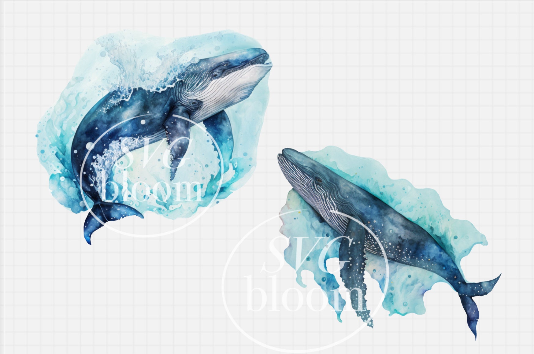 8 Bundle Whale Watercolor Clipart, Beautiful Whale Ocean Animal ...