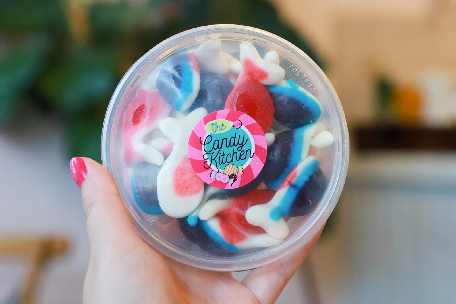 Gummy Whales Gummy Candy Candy | Etsy