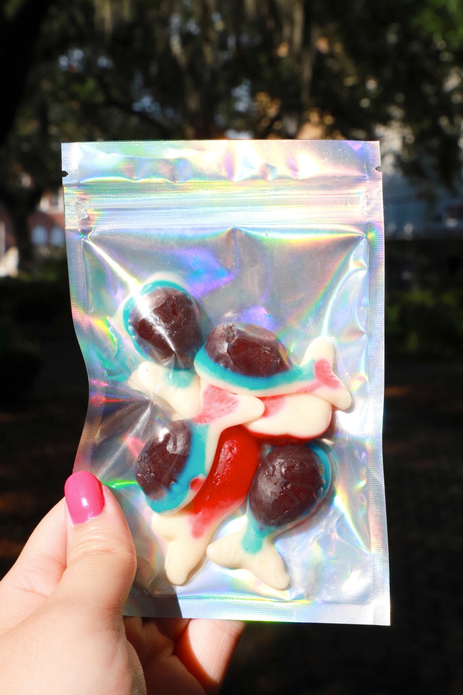 Gummy Whales Gummy Candy Candy | Etsy