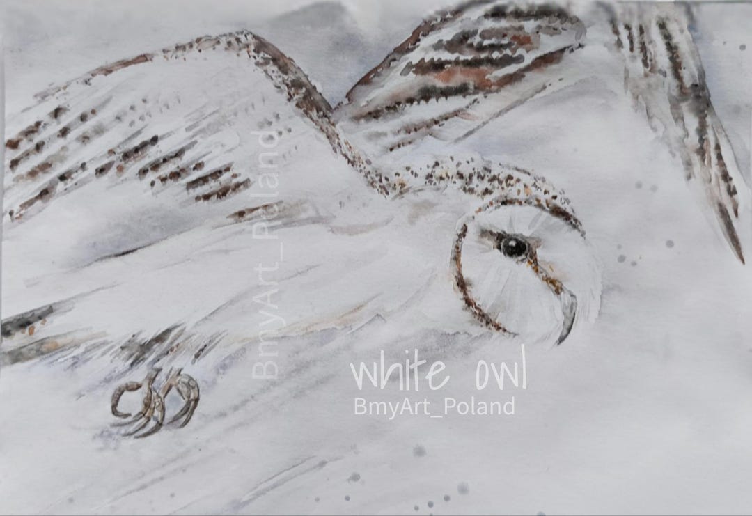 White Owl Print From Watercolor 30x40cm - Etsy
