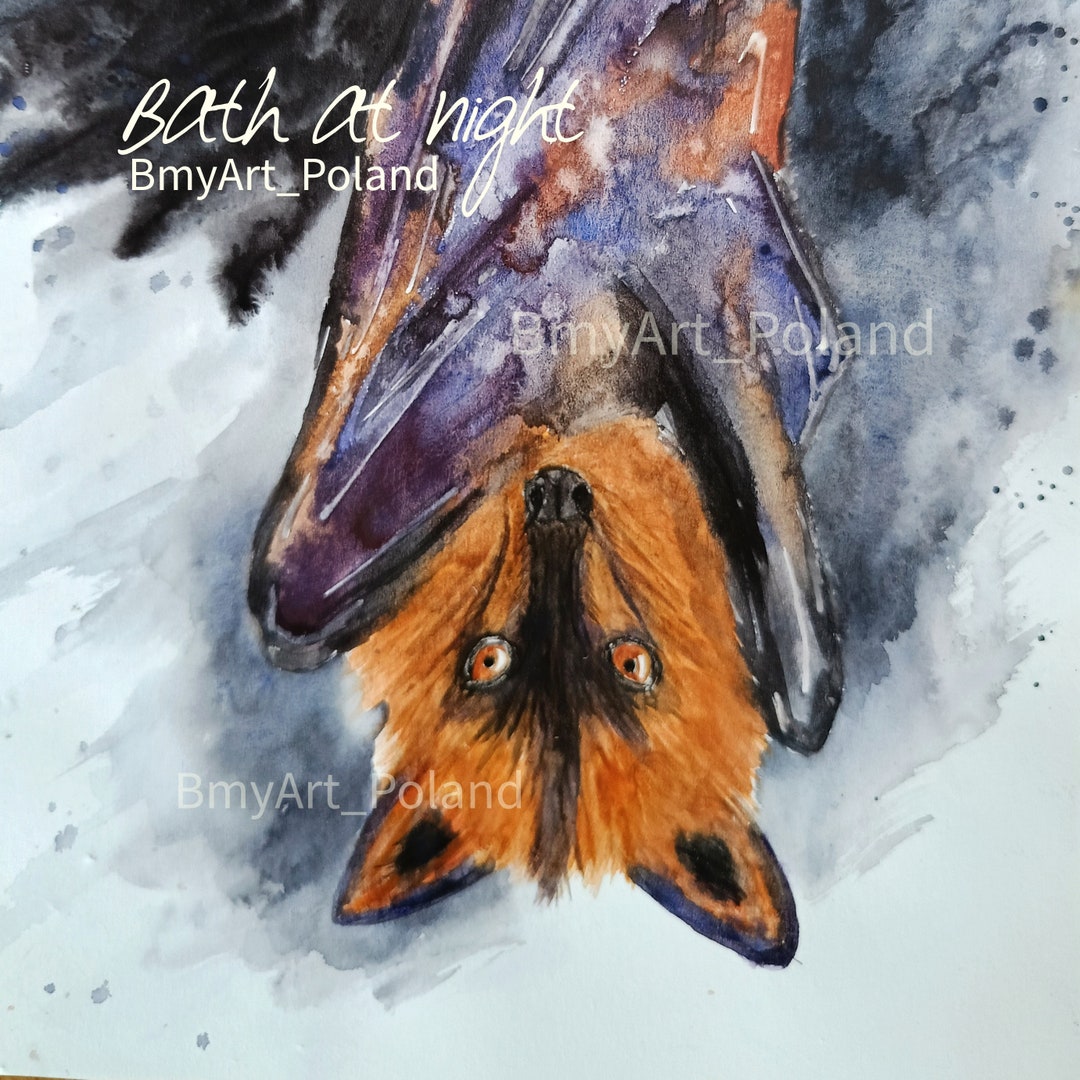 Bat Print From Watercolor on Canvas 50x50 Cm - Etsy
