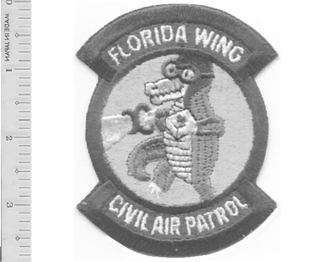 US Civil Air Patrol Florida Wing US Air Force Auxiliary Patch Grey - Etsy