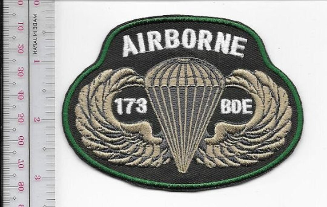 Army Airborne 173rd Light Airborne Infantry Brigade ''the Herd'' Patch ...