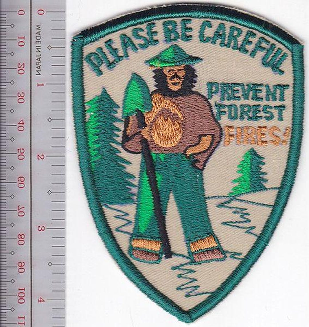 Smokey Symbol of Conservation & Protection of America’s Forests - Etsy