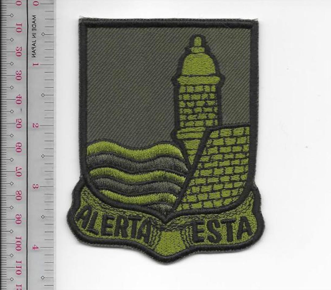 US Army Puerto Rico 296th Infantry Puerto Rico Army National Guard Unit ...