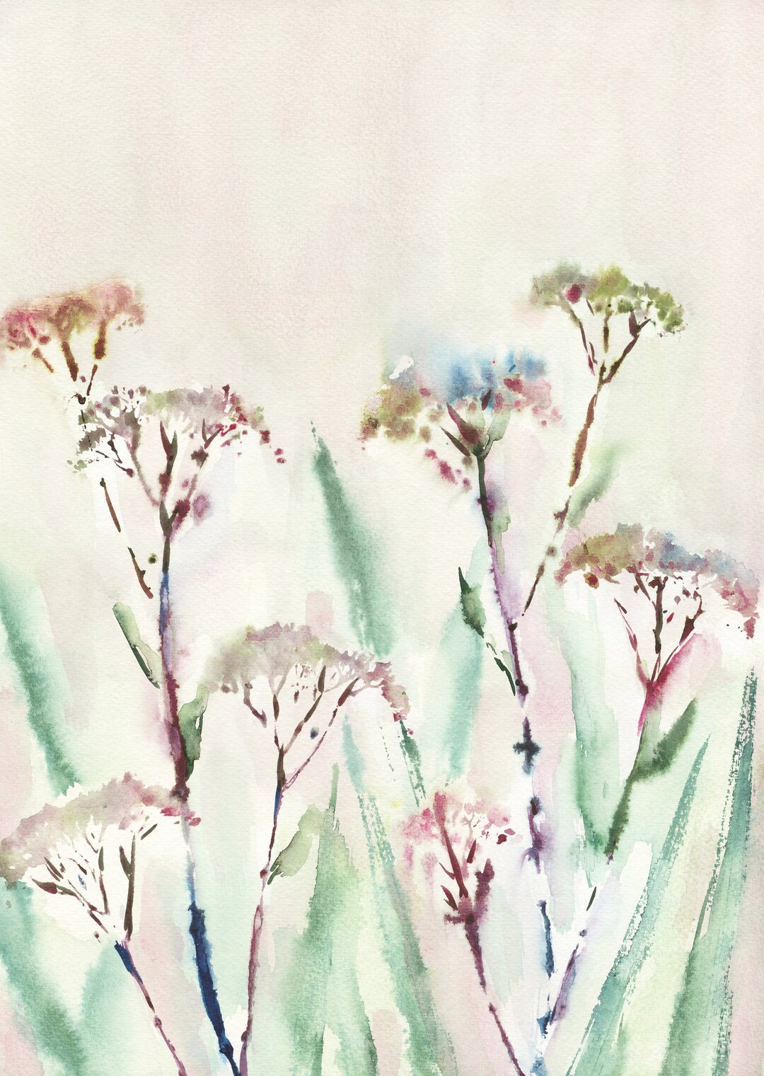 Pretty Cow Parsley Print - Etsy UK