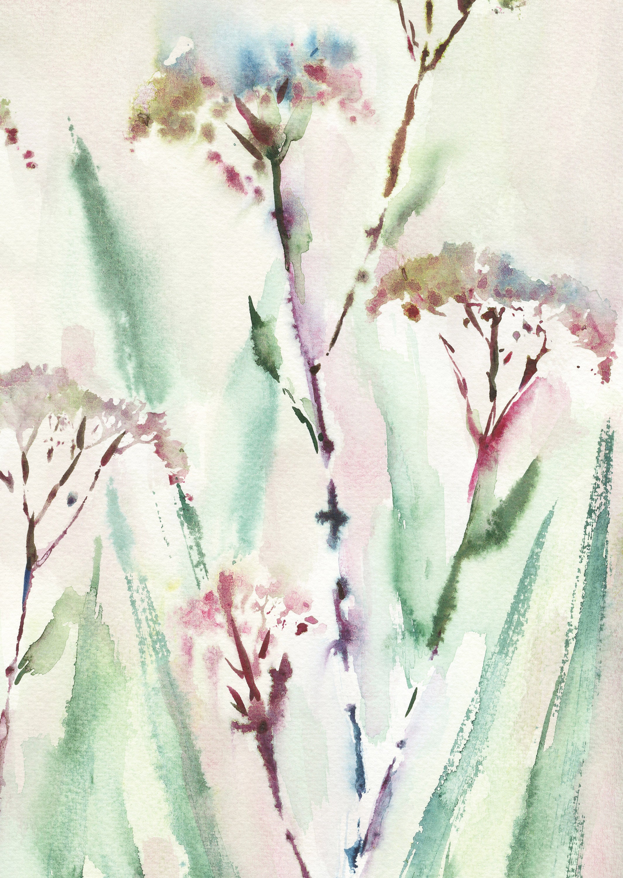 Pretty Cow Parsley Print - Etsy UK