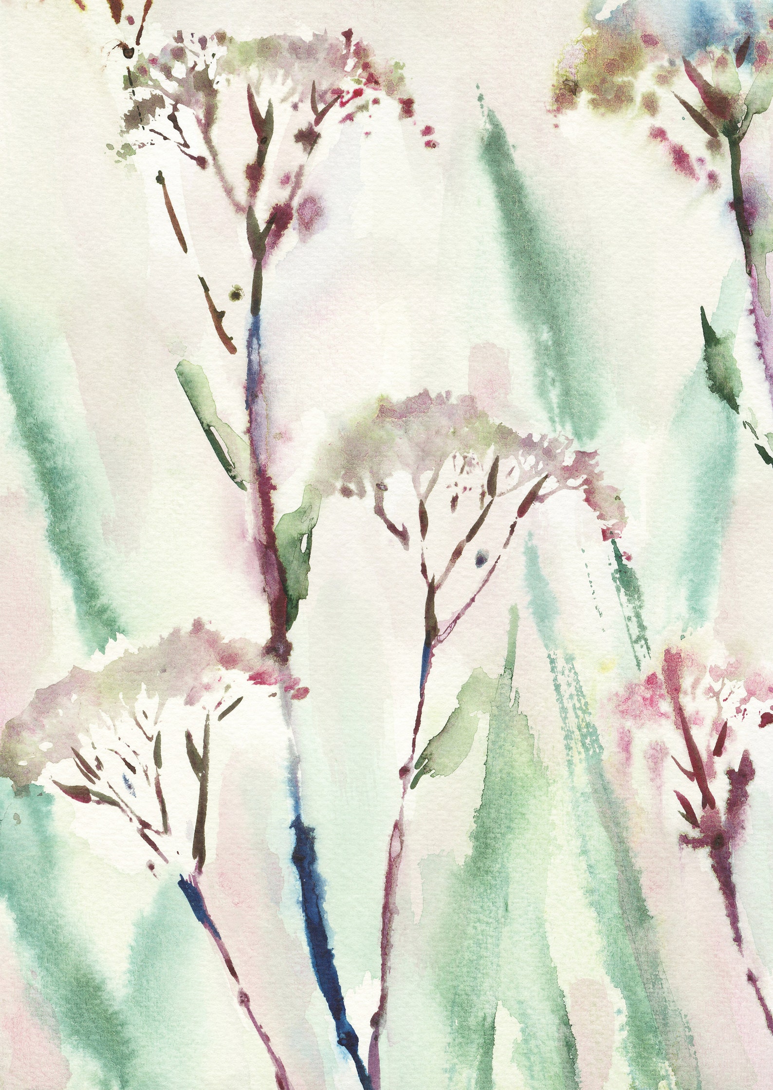 Pretty Cow Parsley Print - Etsy UK