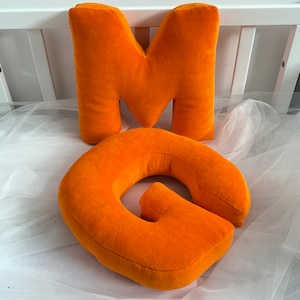 Velour Letter Pillow: Custom Monogram Decorative Cushion - Etsy