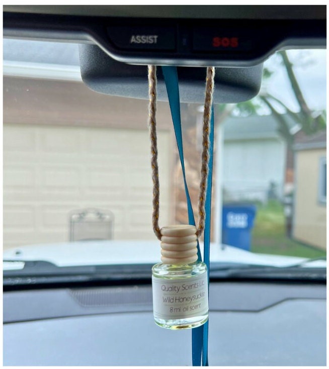 Hanging Car Diffuser, Car Freshener, Car Air Freshener, Air Freshener ...