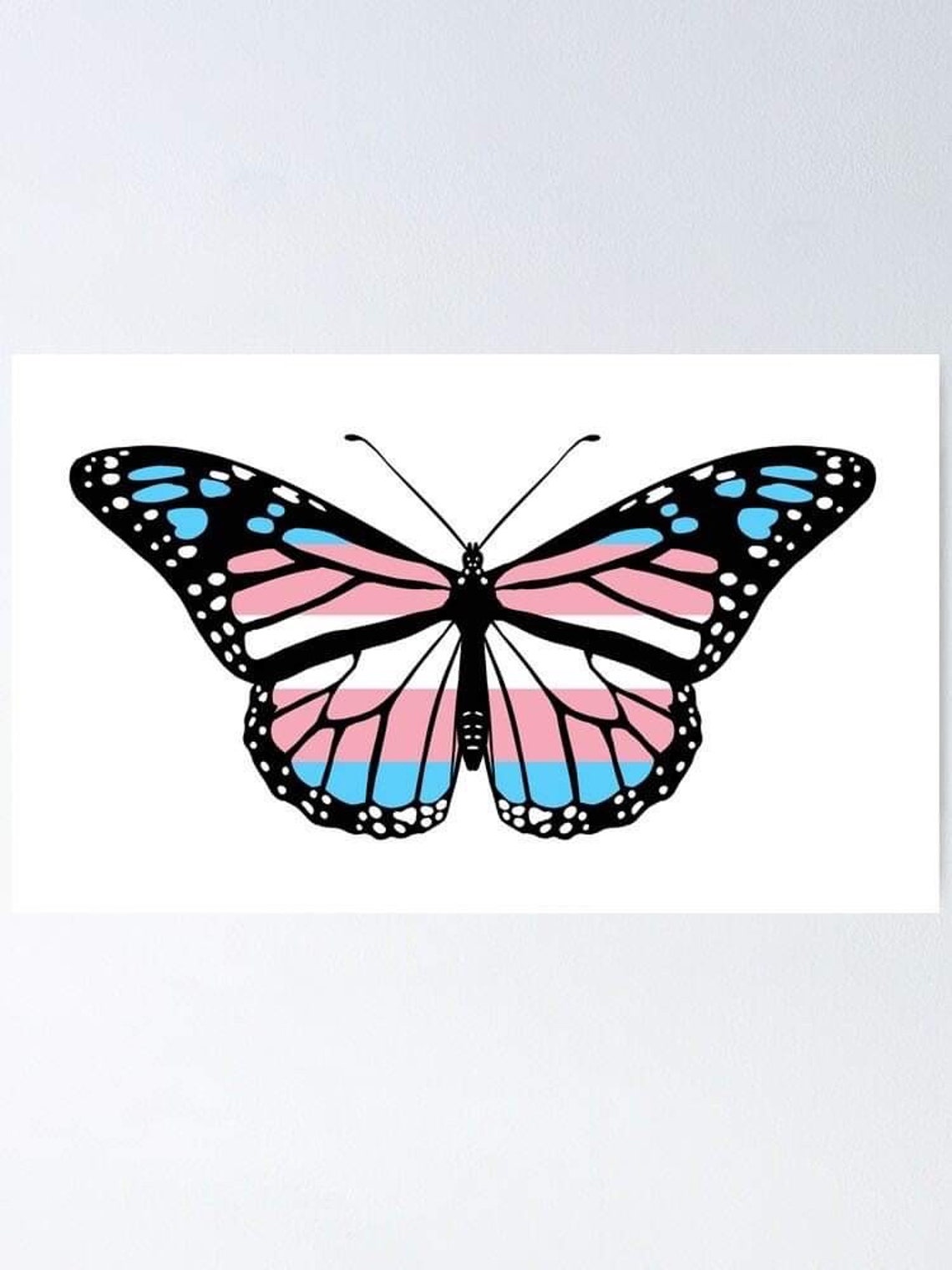 Trans Flag Butterfly Vinyl Car Window Decal for Vehicles, Laptops ...