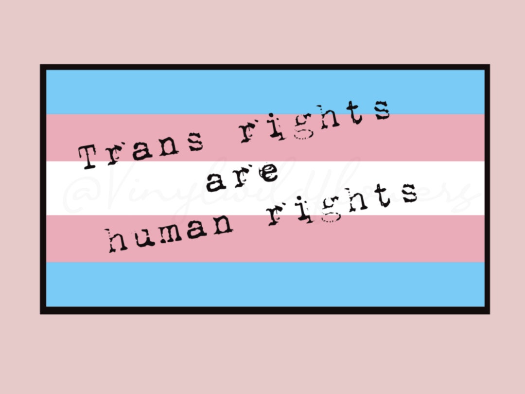 Sticker Vinyl Sticker Trans Rights Sticker Laptop Sticker Water Bottle ...