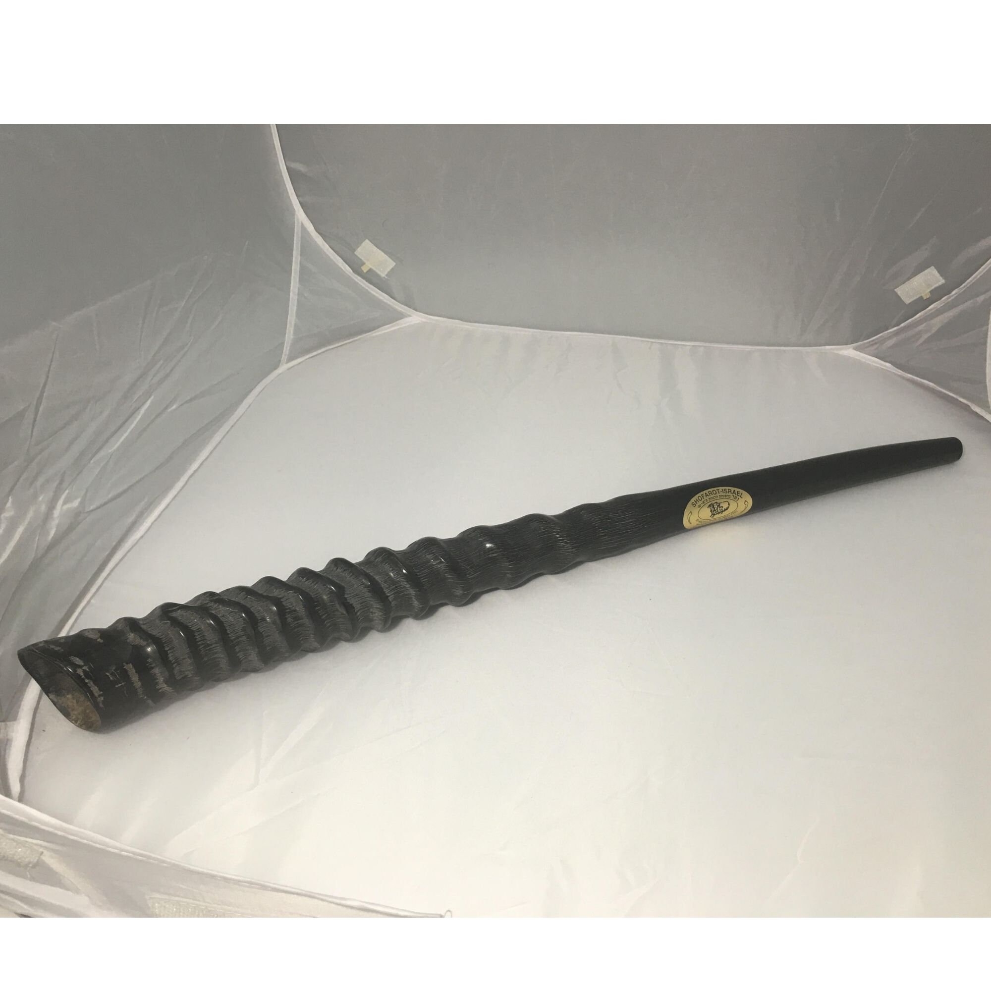 Kosher Shofar Gemsbok Oryx Horn Original From Israel 28 30 Tuned And Tested