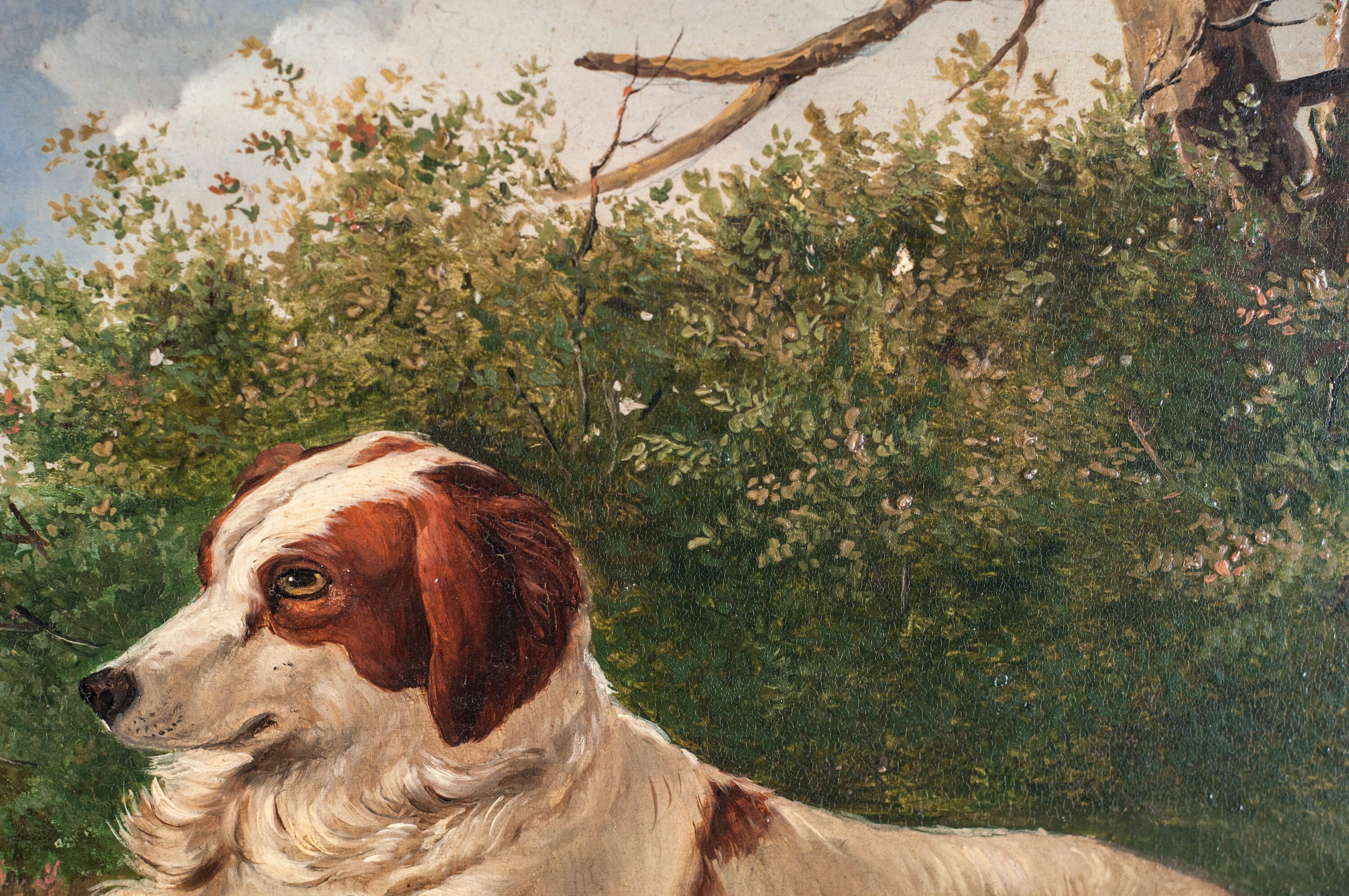 Early 19th Century Oil Painting of a Dog Dated 1827 Antique - Etsy