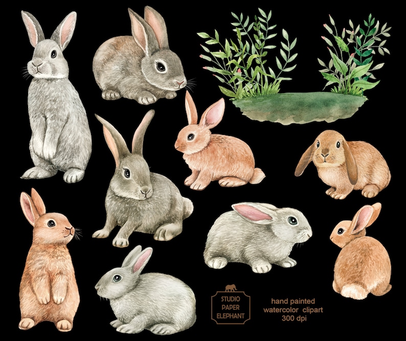 Watercolor Bunnies Clipart Rabbit Clipart Easter Bunnies - Etsy
