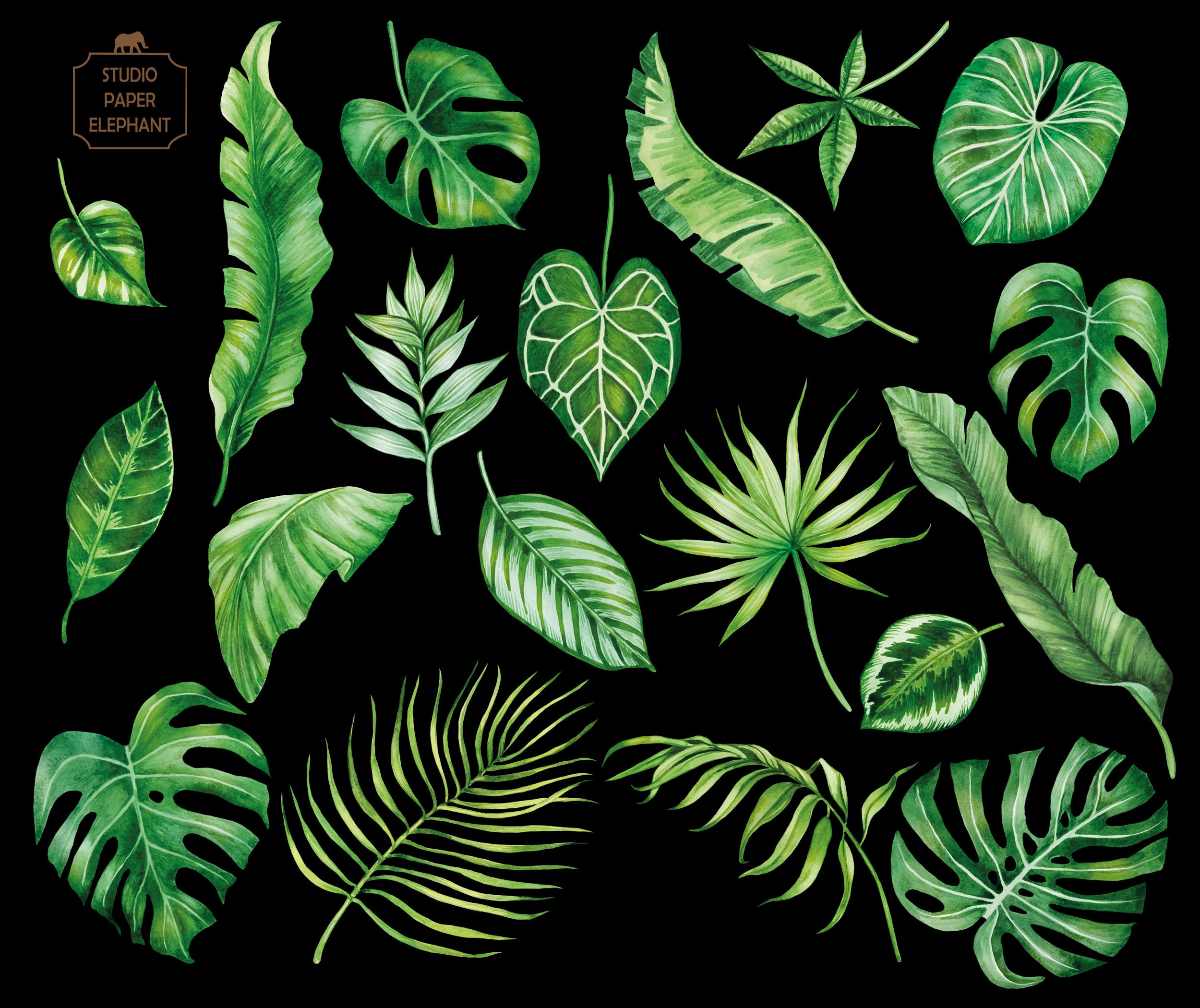 Watercolor Tropical Leaves Clipart: 19 PNG Greens (digital Download) - Etsy