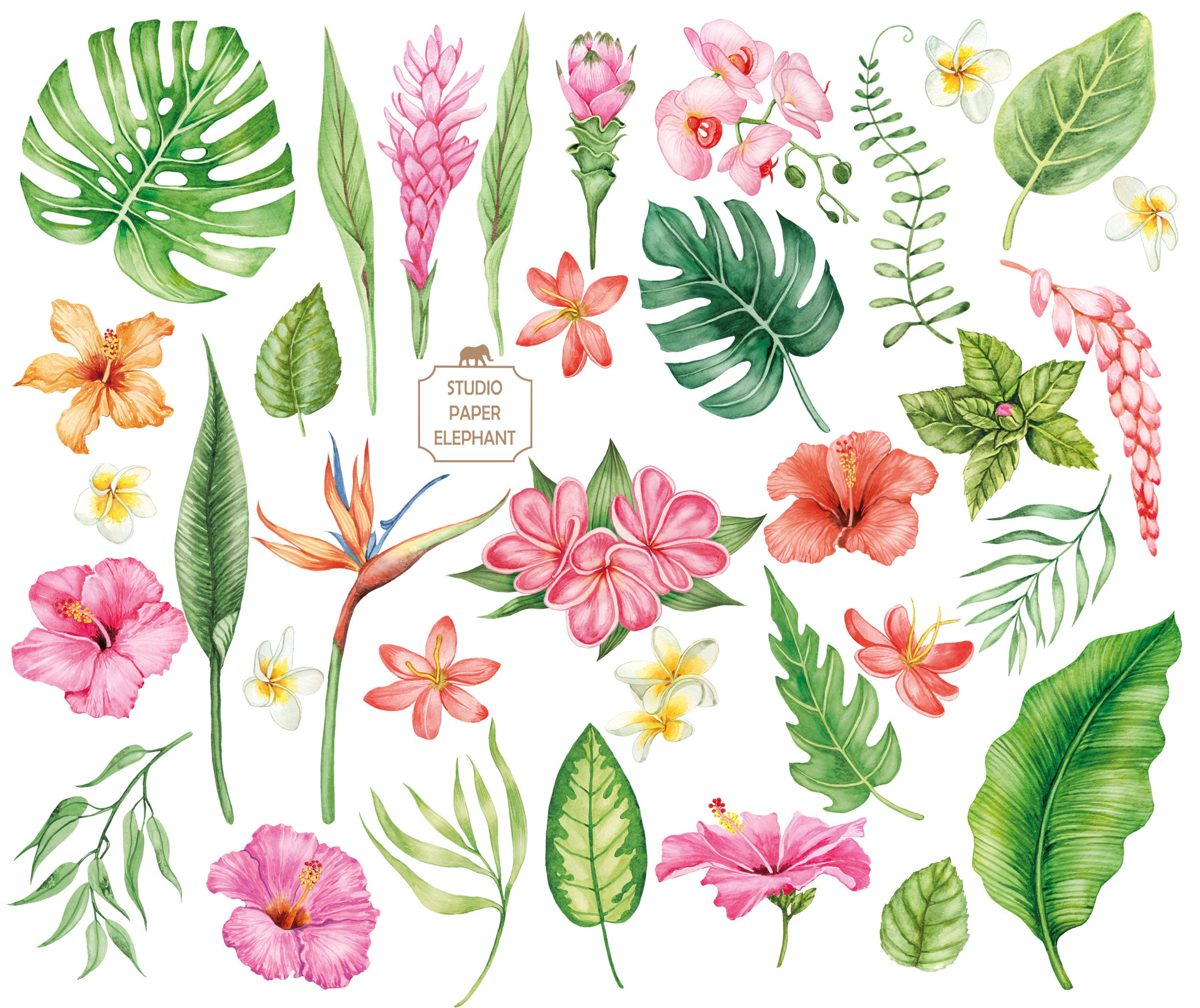 Watercolor Tropical Flowers Clipart: Jungle Leaves, Hawaii Wedding (PNG ...