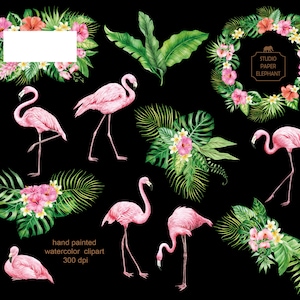 Watercolor Flamingo Clipart: Tropical Flowers & Bouquets (PNG, Digital ...