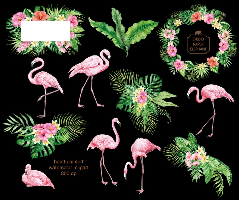 Watercolor Flamingo Clipart Tropical Bouquets Flamingo - Etsy