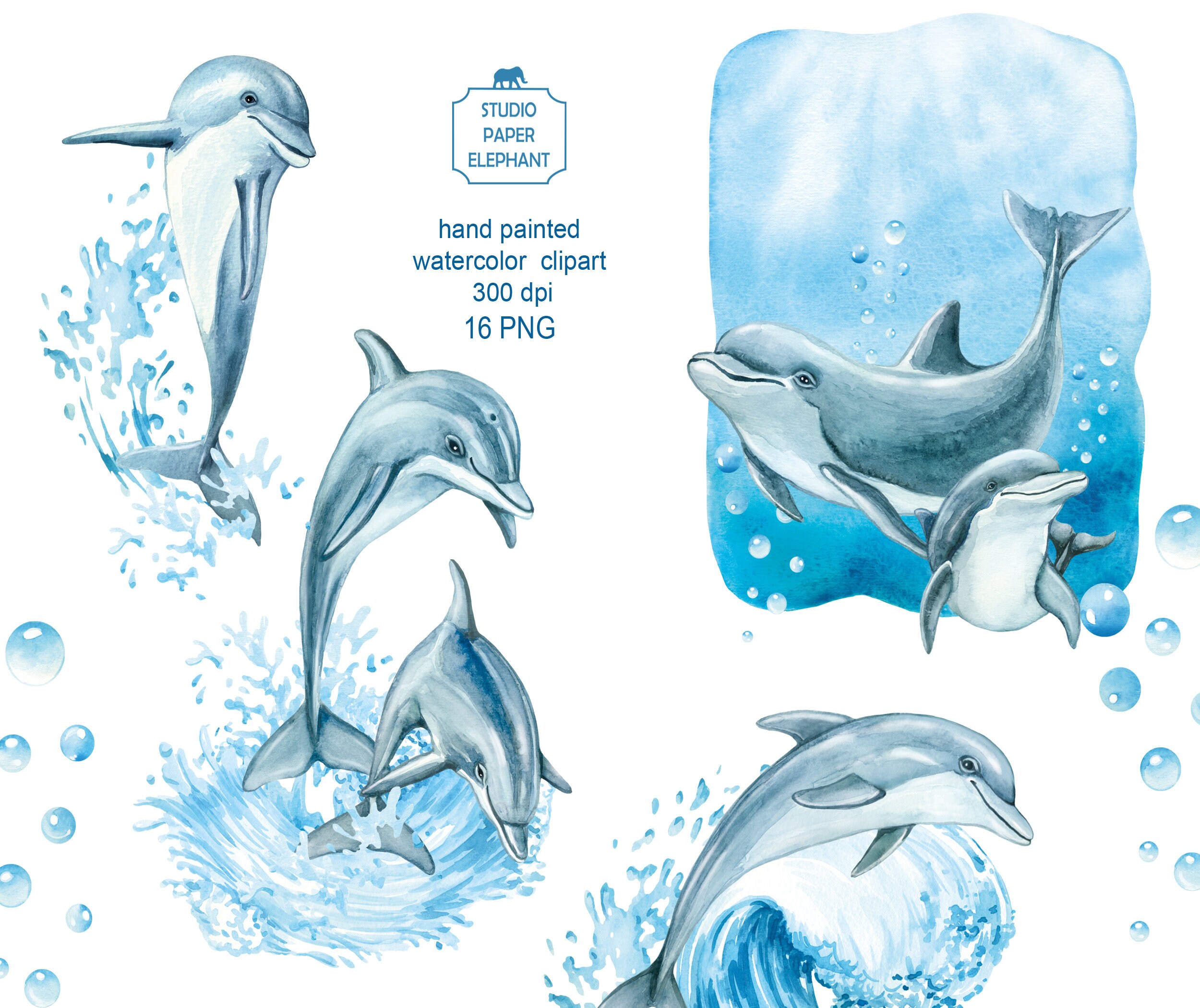 Watercolor Dolphins Clipart Sea Waves Clipart Sea Splashes - Etsy