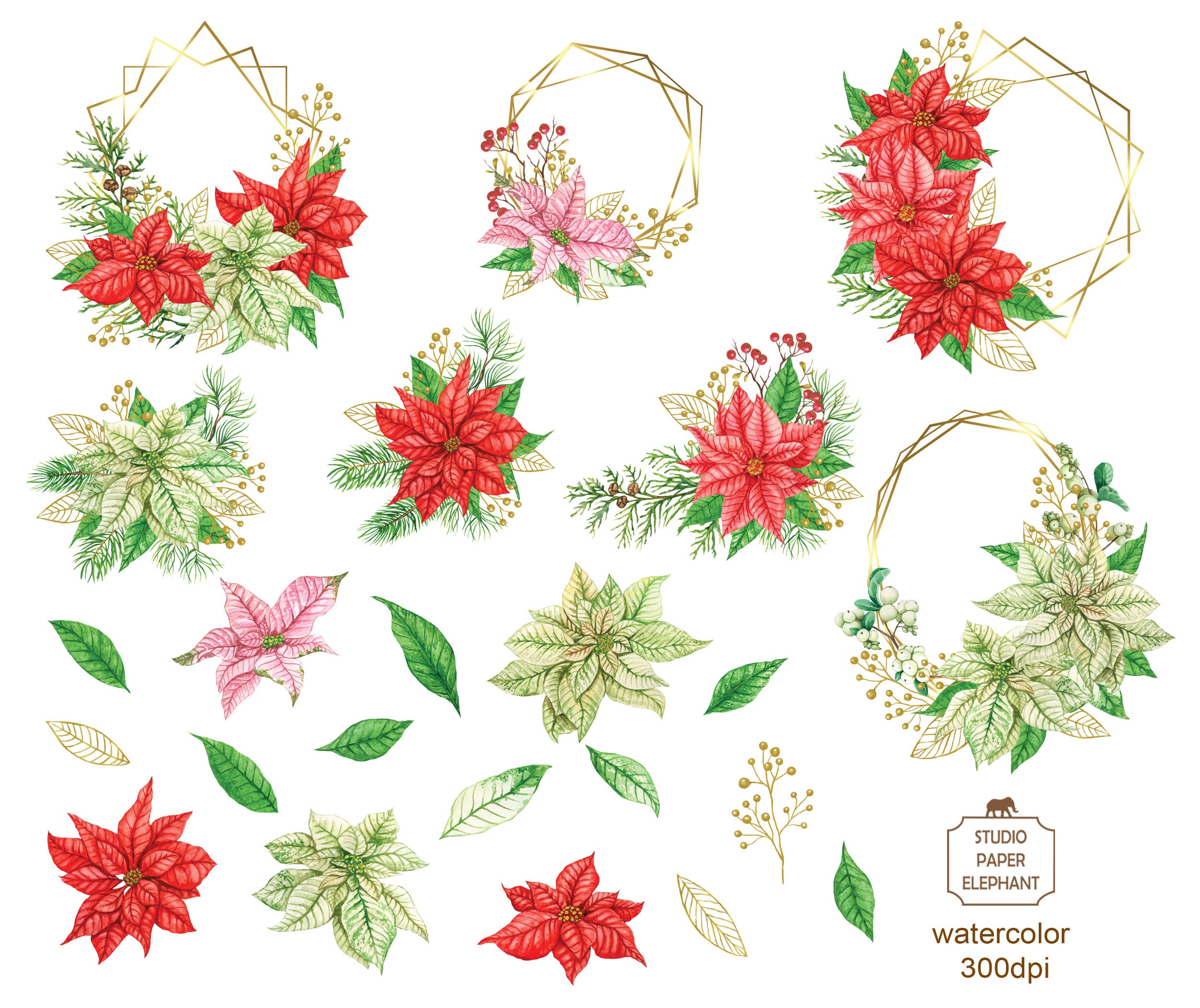 Watercolor Poinsettia Clipart: Christmas Flower Gold Frames (PNG ...