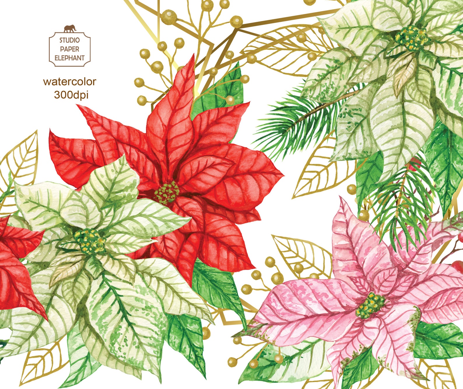 Watercolor Poinsettia Clipart Christmas Flower Christmas - Etsy