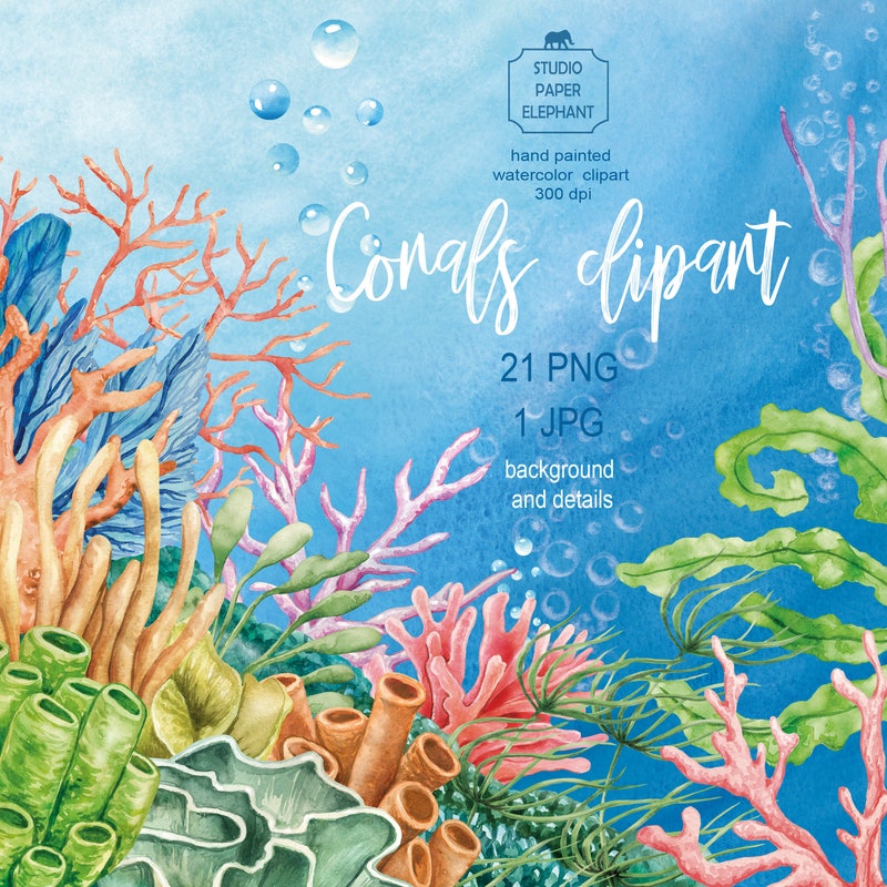 Water Colour Coral - Etsy