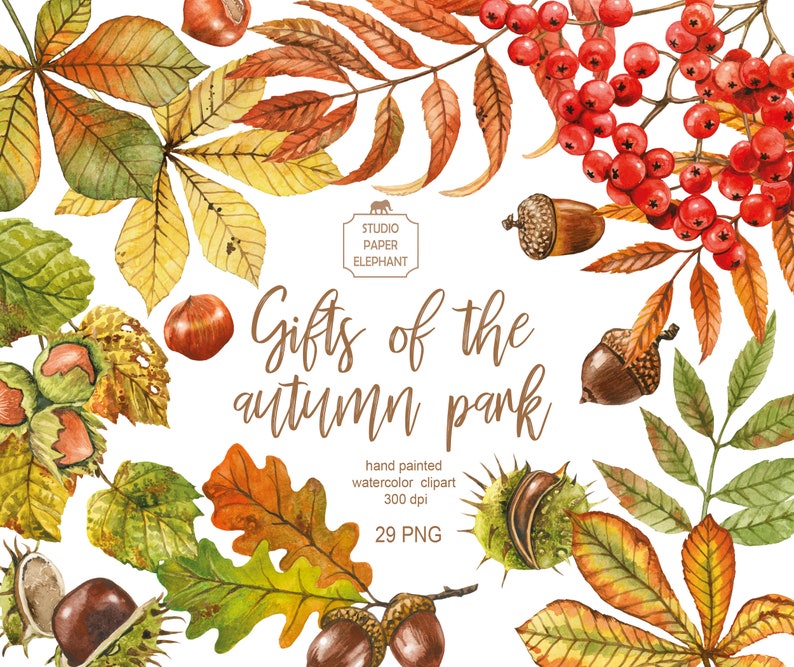 Watercolor Autumn Leaves Clipart Autumn Leaves Clipart Fall - Etsy