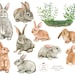 Watercolor Bunnies Clipart Rabbit Clipart Easter Bunnies - Etsy